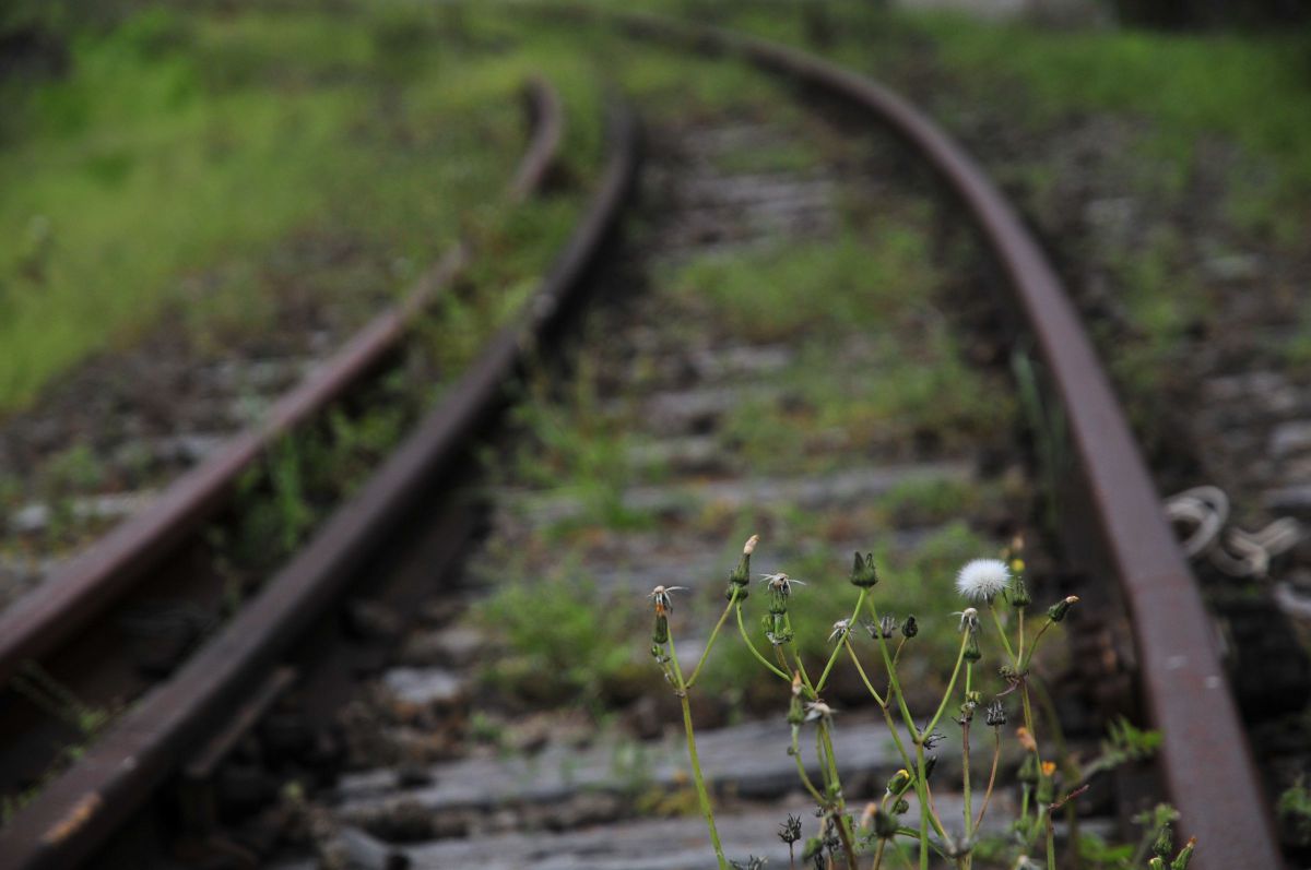 Stand By Me | GANREF