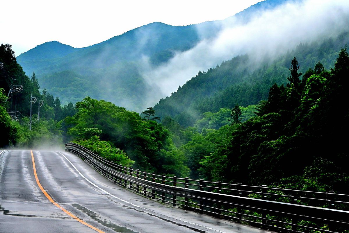 ドライブマイカー | GANREF