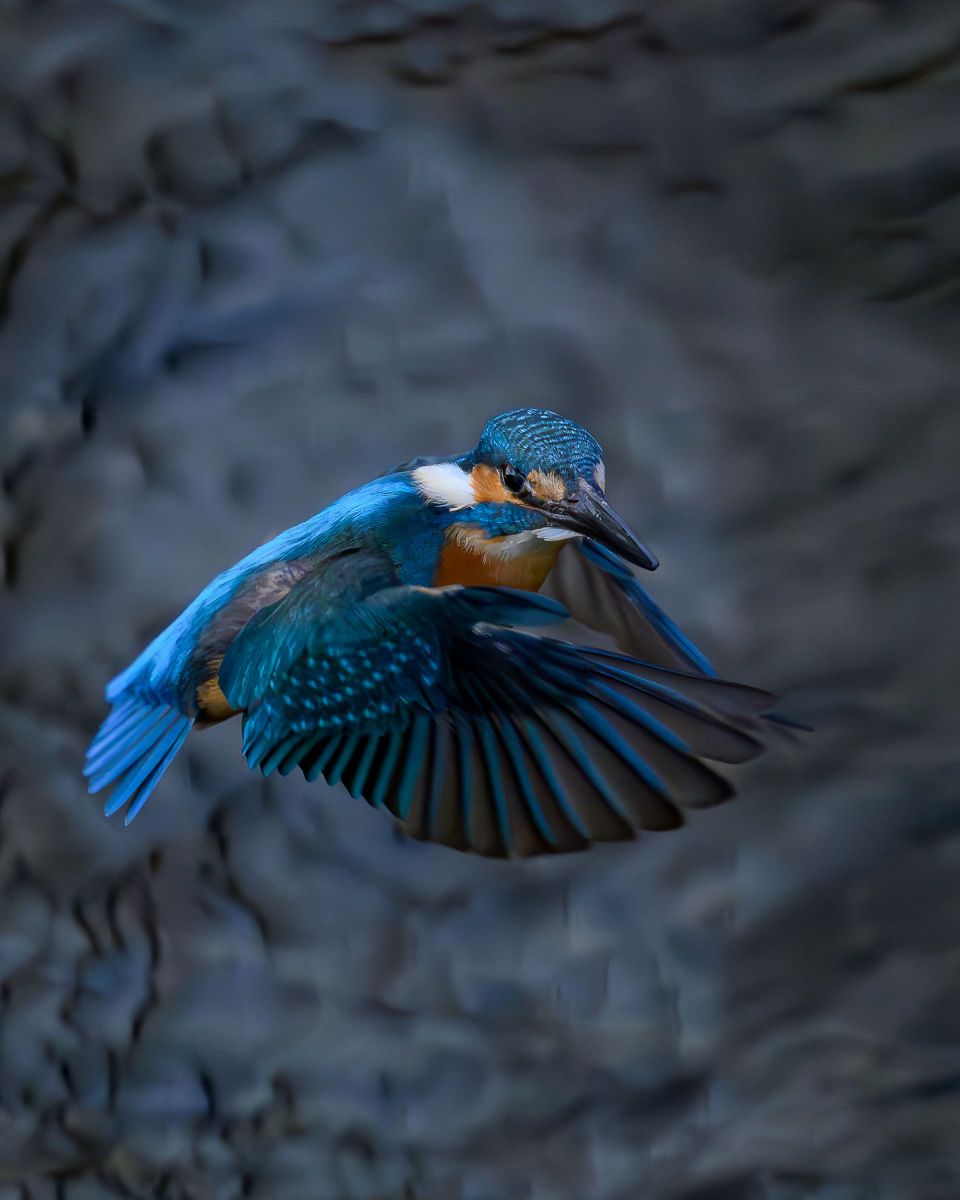 早朝の停空飛翔・AM7:16 | GANREF