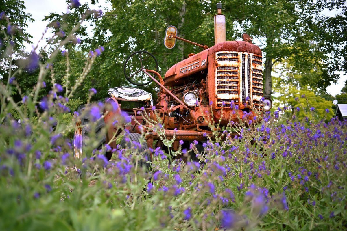 役目を終えたトラクター | GANREF