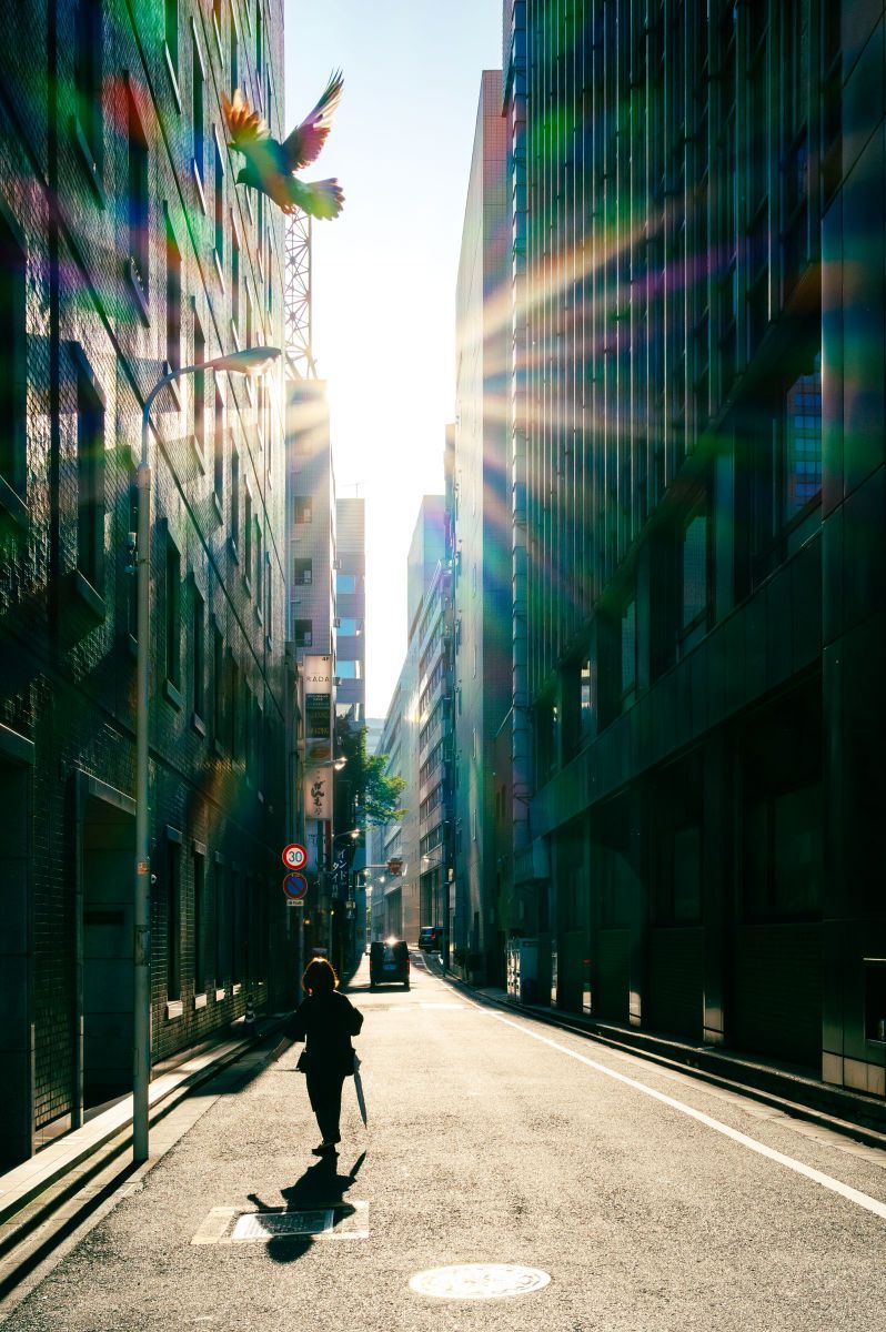 Daylight Rainbow | GANREF