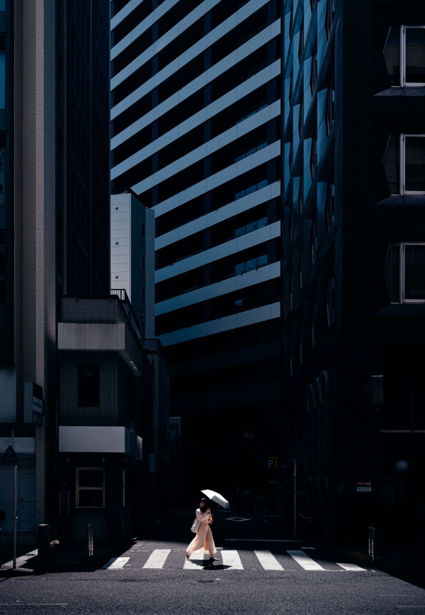 Tokyo Stripes | GANREF