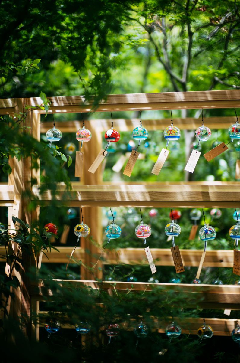 Summer Breeze | GANREF