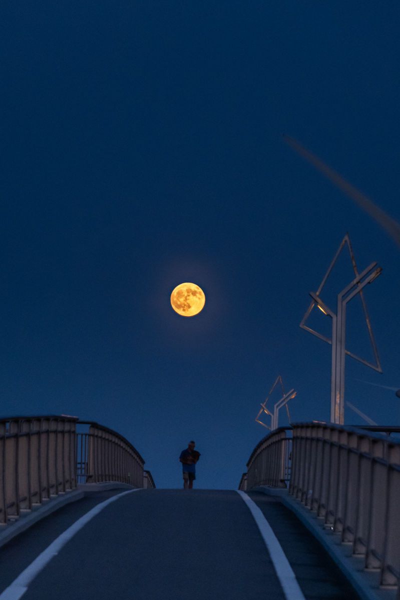 満月の夜 | GANREF