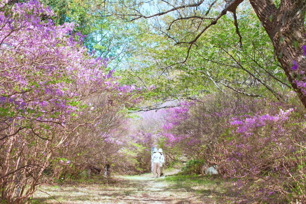 Spring Color | GANREF