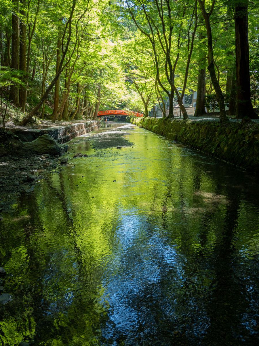 緑の宮川（小國神社） | GANREF