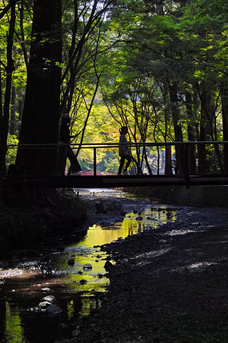 色付き始め | GANREF