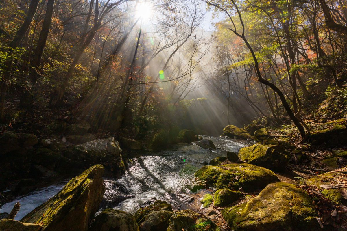 光射す渓谷 | GANREF