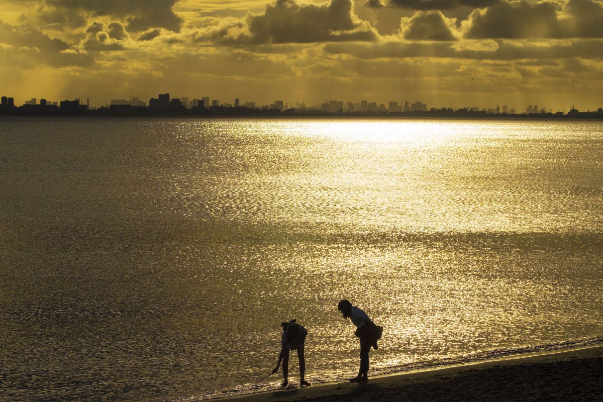 恋人たち | GANREF