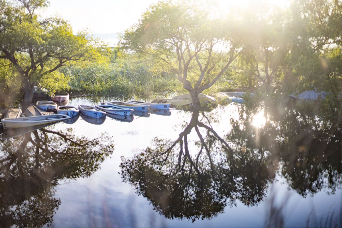 夢の中へ | GANREF