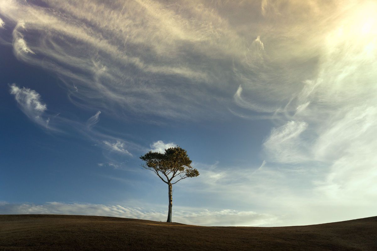 2/26 PM4:00 | GANREF