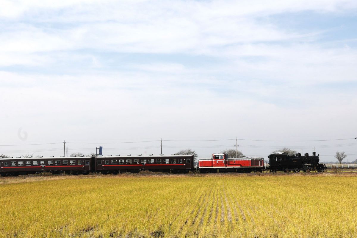 SL・DL 重連 | GANREF