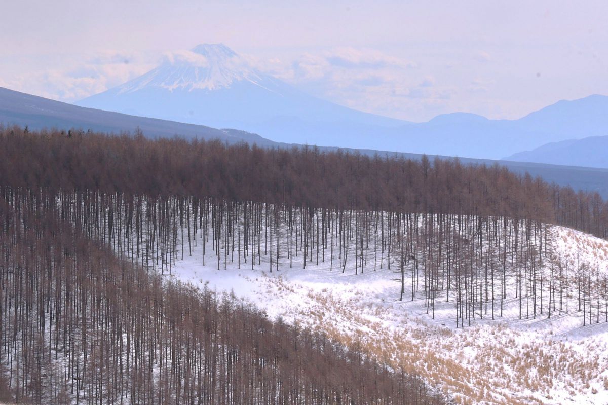 ヴィーナスラインからの富士山 | GANREF