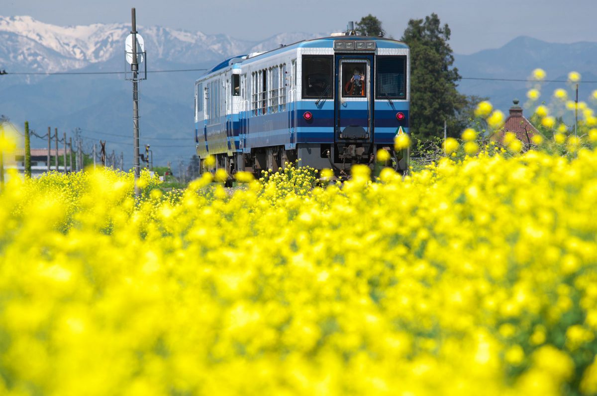 会津鉄道「オッと！スマホvs.ペンタックス」」 | GANREF