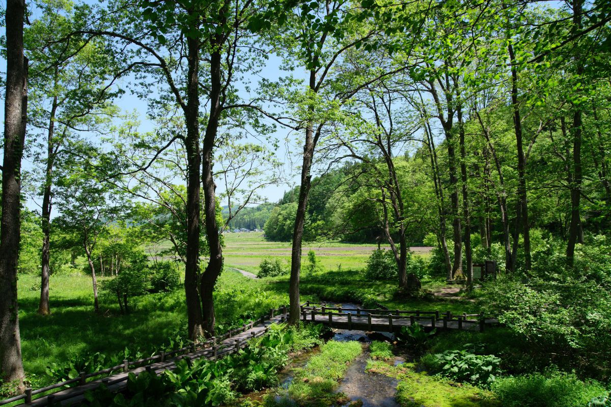 川の始まり | GANREF