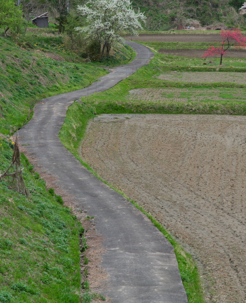 ふるさと | GANREF