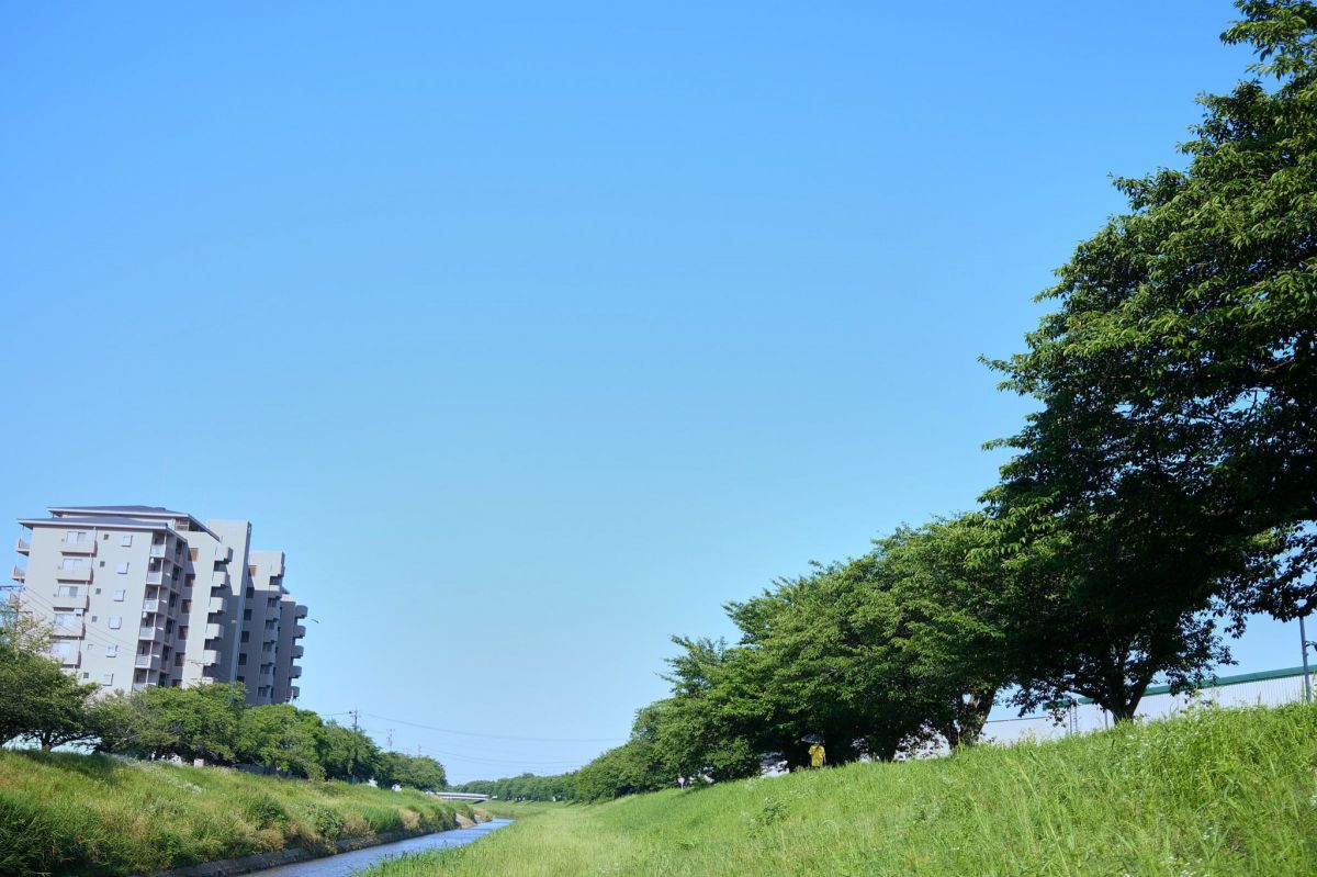 朝から快晴 | GANREF