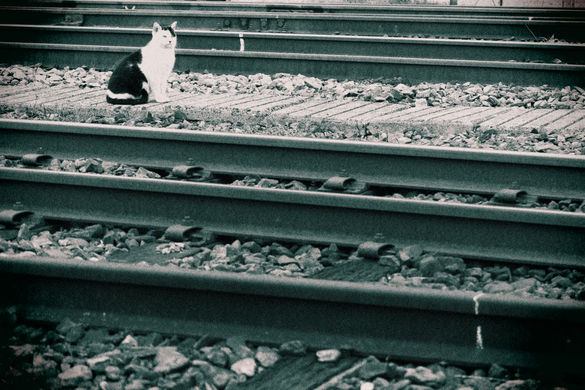 キヤノン EOS M2 レビュー vol.29 クリエイティブフィルター 多重掛け | GANREF