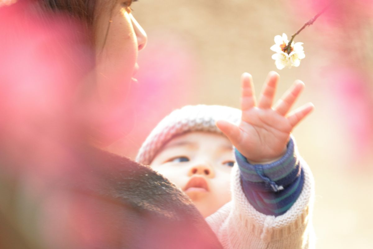 キヤノン EOS M3 レビュー vol.53 進化を遂げたEOS M3 | GANREF