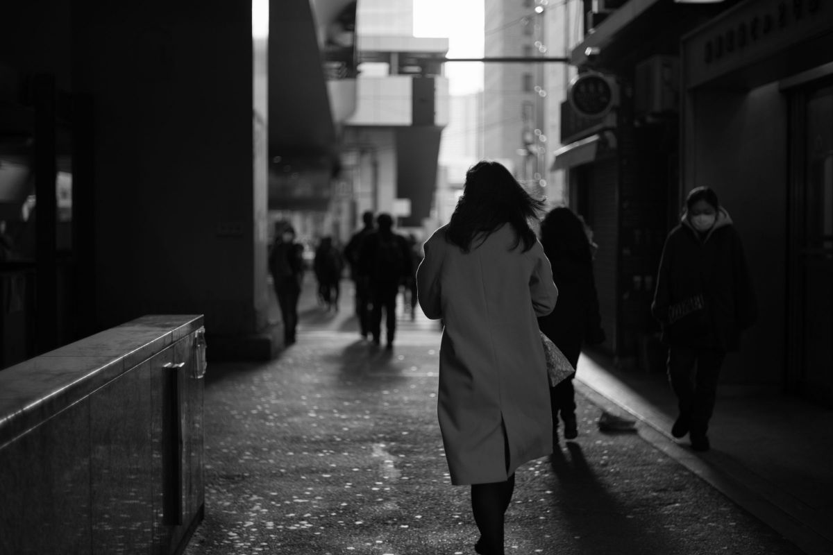 A cold north wind | GANREF