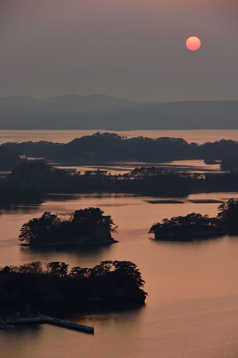 Hard Boiled | GANREF