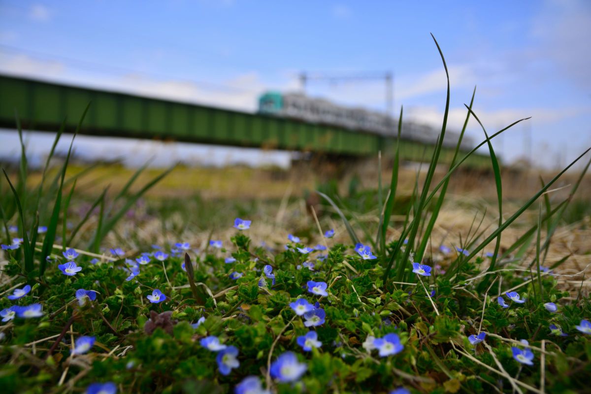 踏まないでね | GANREF