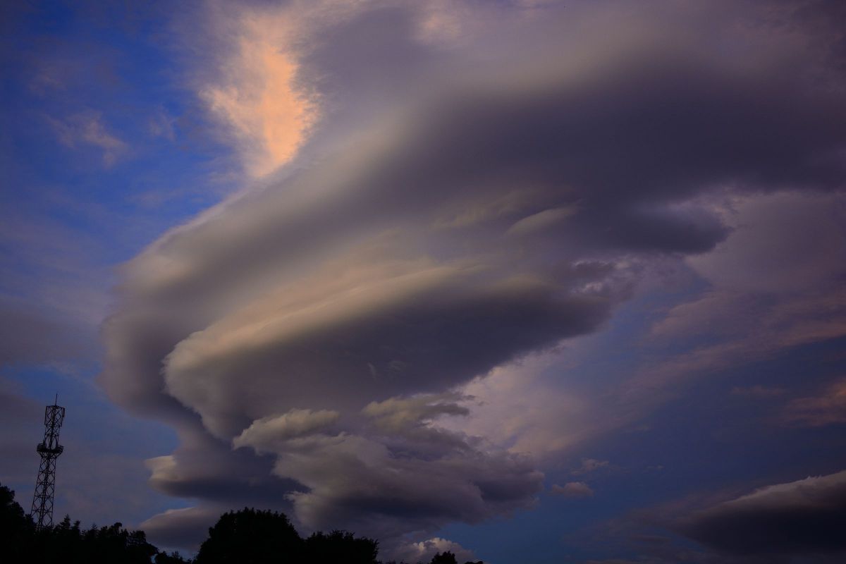 devil' s house | GANREF