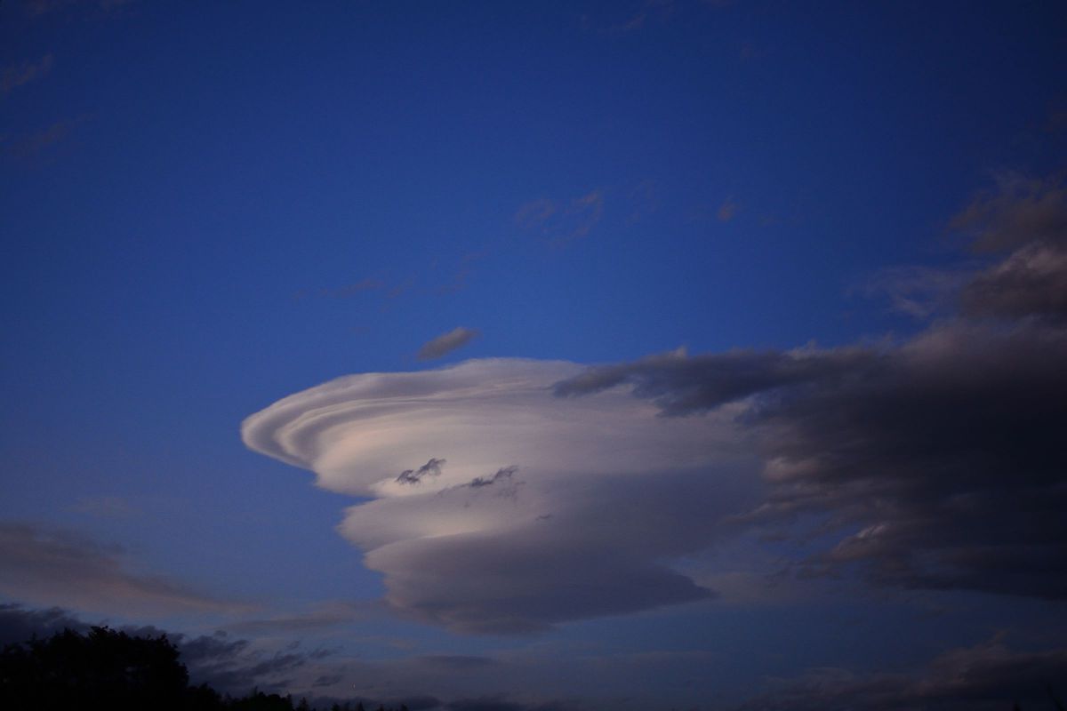 dragon' s nest | GANREF