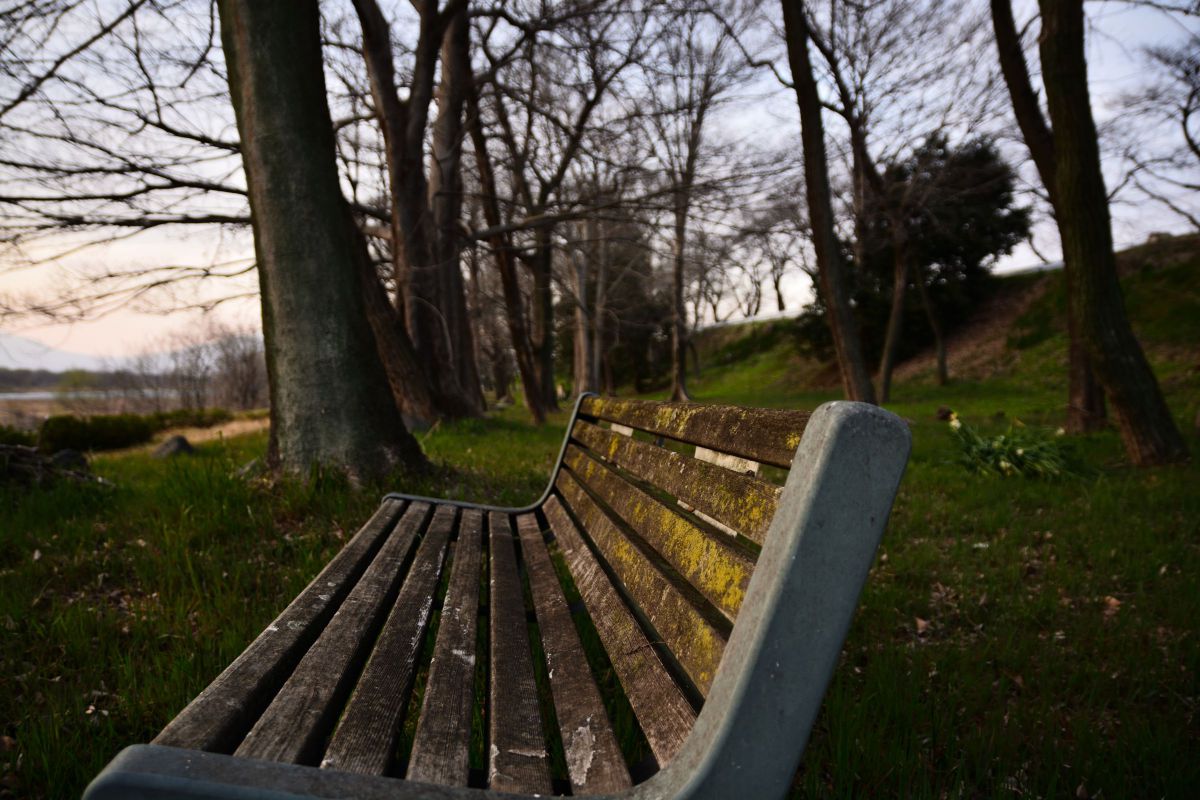 待ちわびて | GANREF