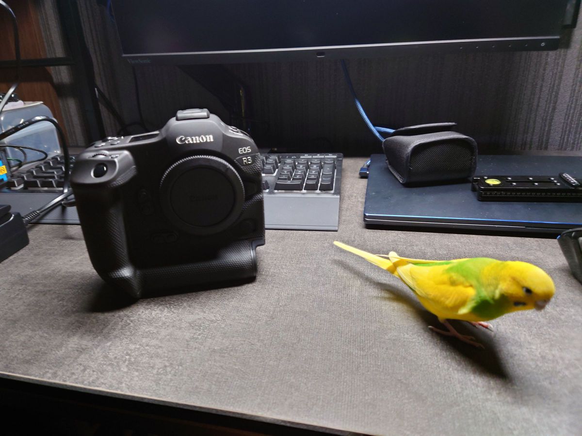 EOS R3ﾌｧｰｽﾄｲﾝﾌﾟﾚｯｼｮﾝ | GANREF