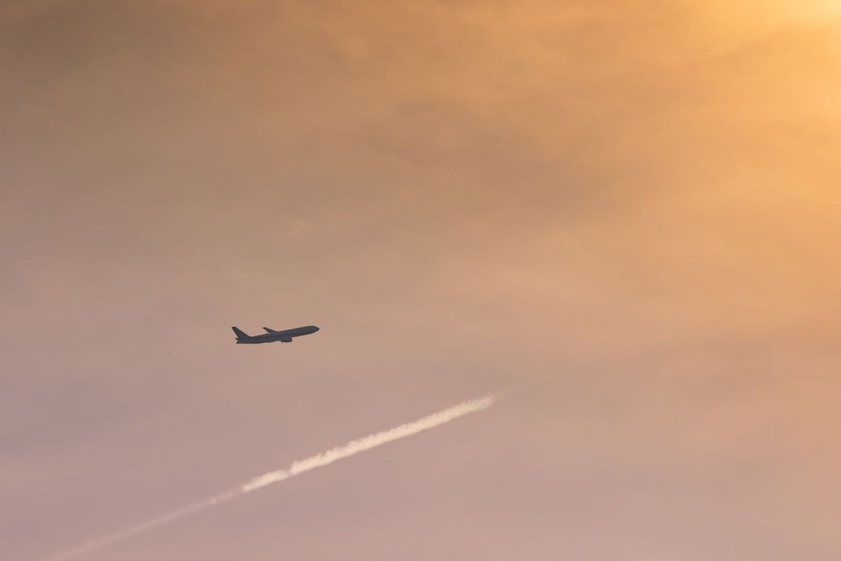 rendezvous。 | GANREF