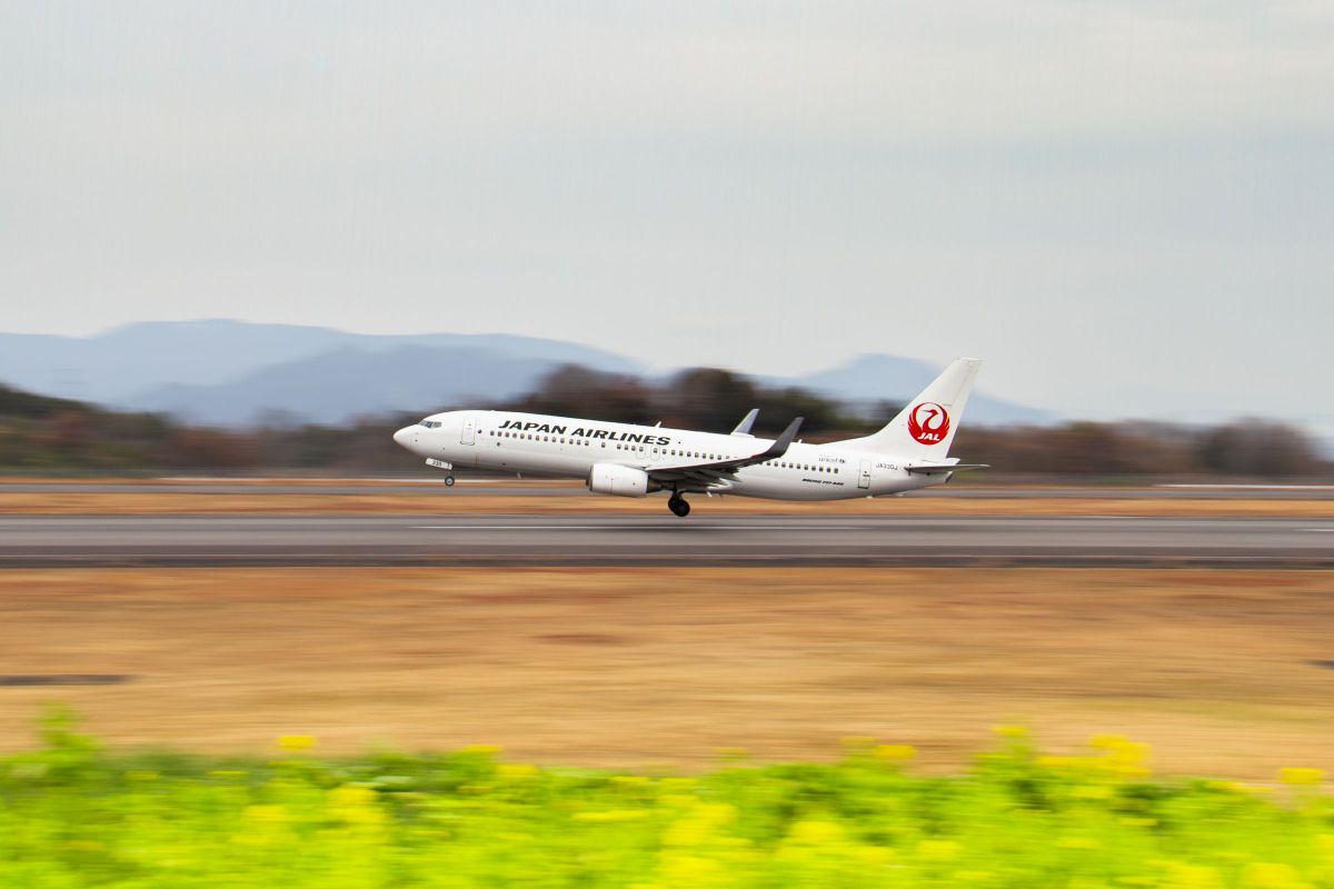 JAL、今日も高く飛べ！ | GANREF