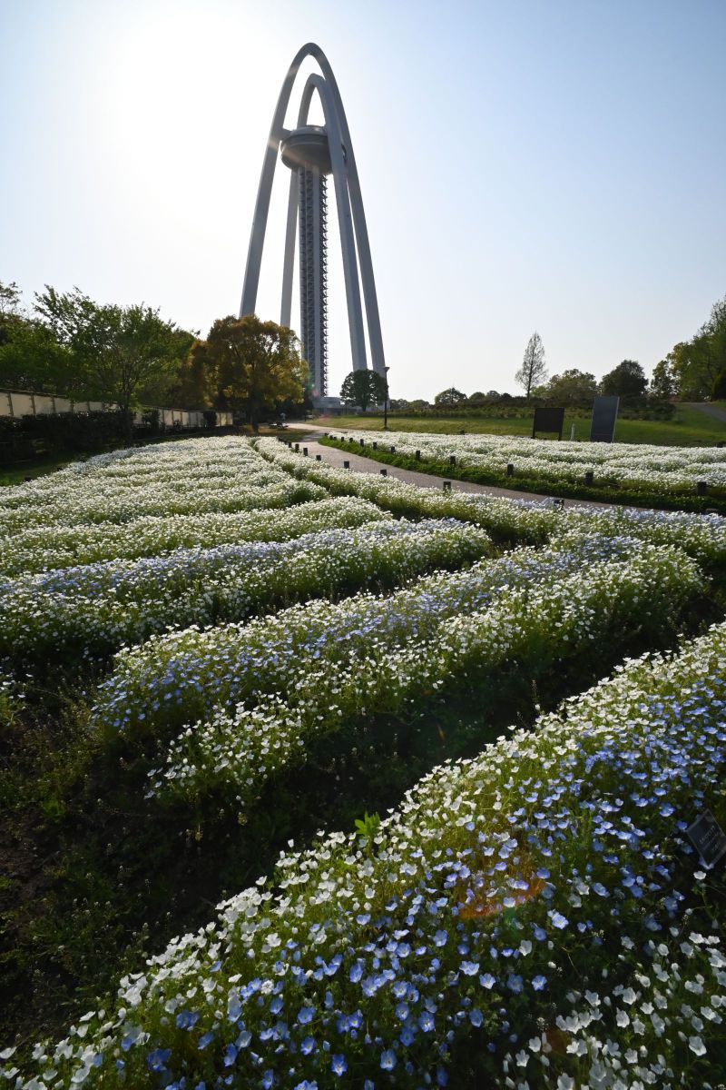 138タワーパーク・ネモフィラ | GANREF