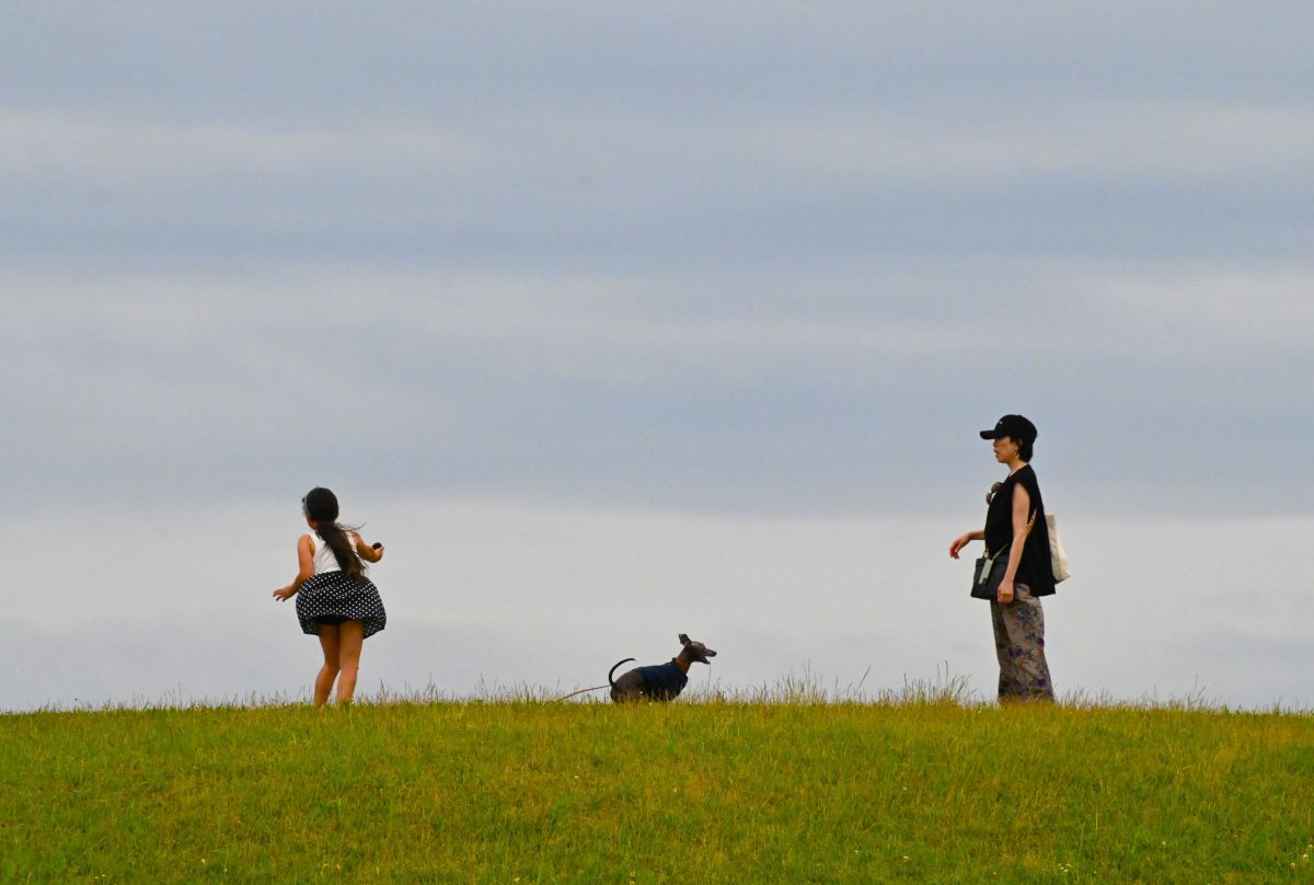 犬と戯れ | GANREF