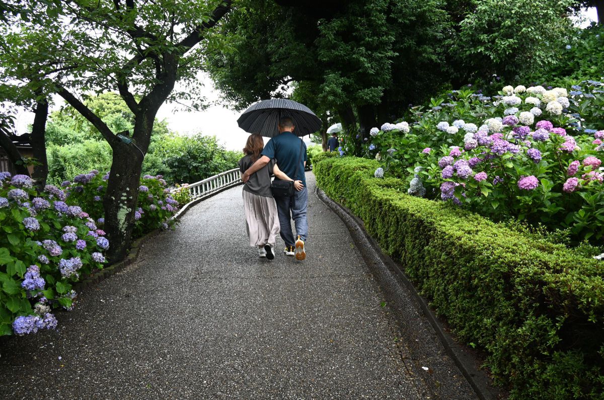 あじさいの小径 | GANREF