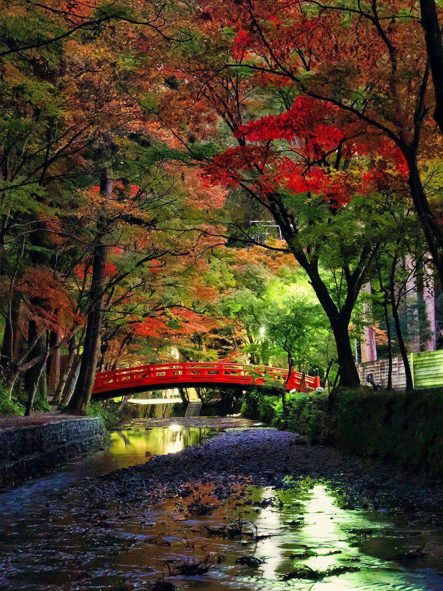 定番 PART2 | GANREF