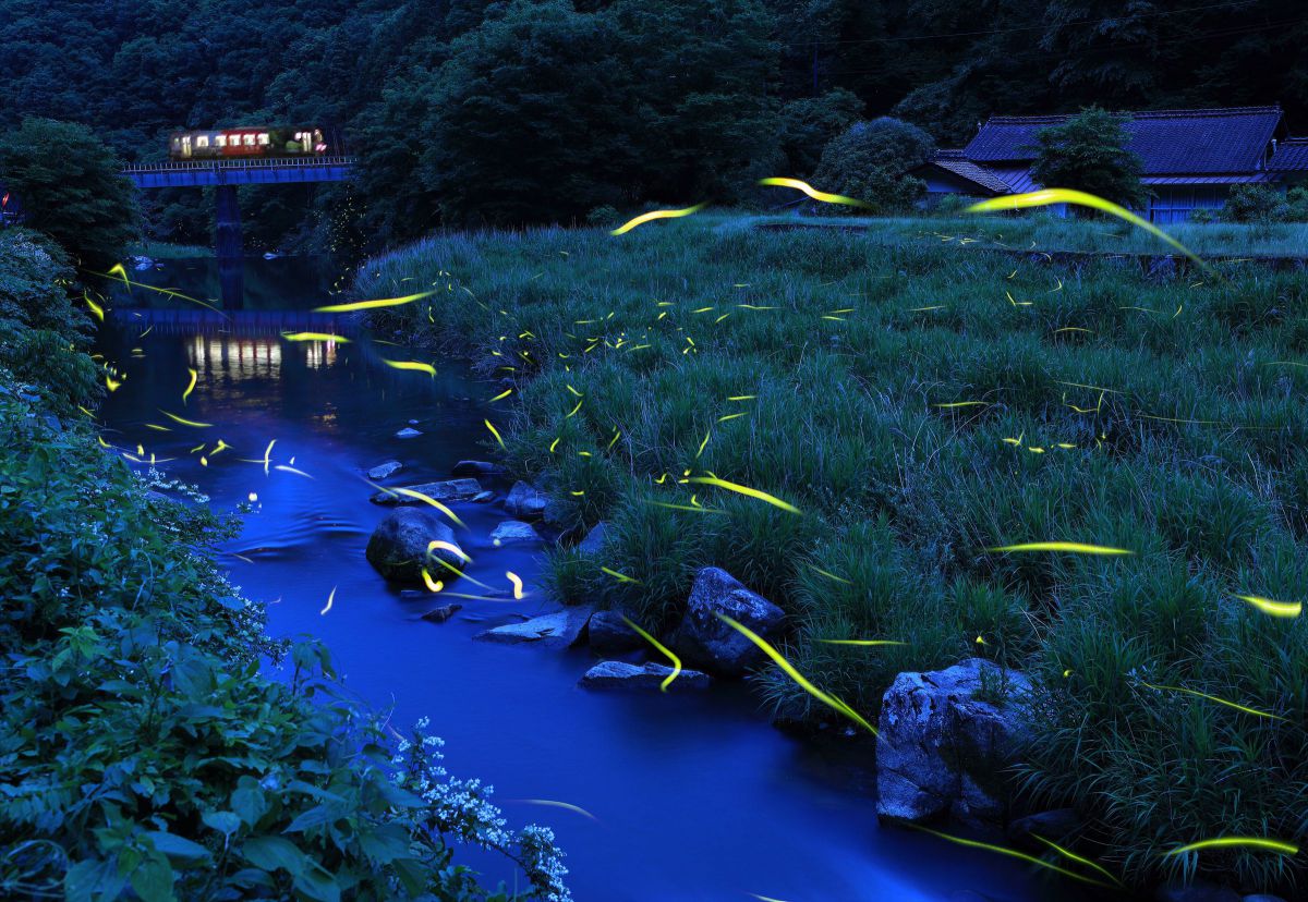 蛍鉄道2025-13 | GANREF