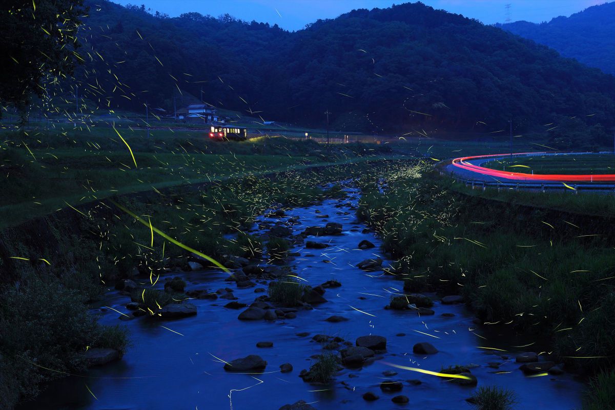 蛍鉄道2025-16 | GANREF