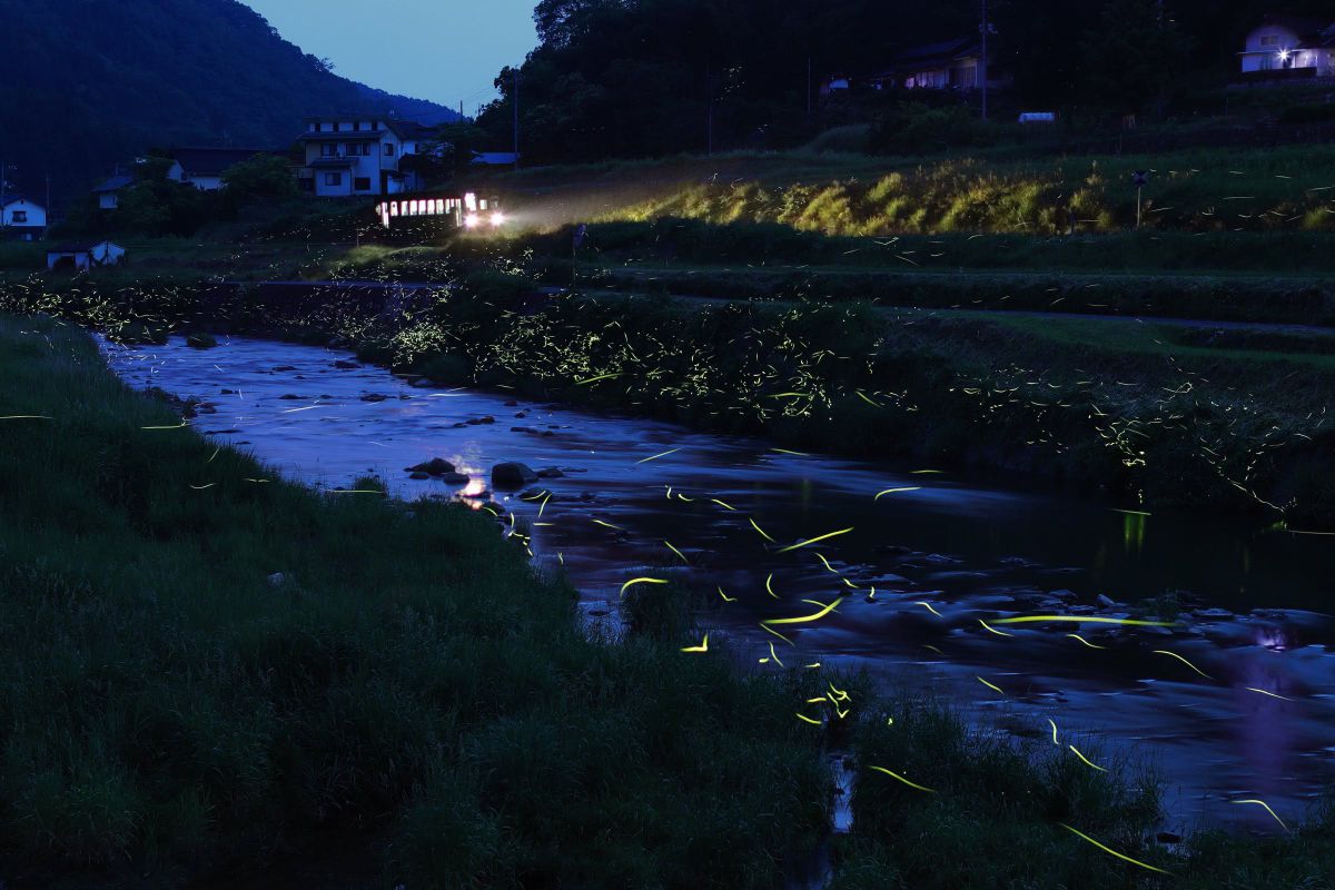 蛍鉄道2023-5 | GANREF