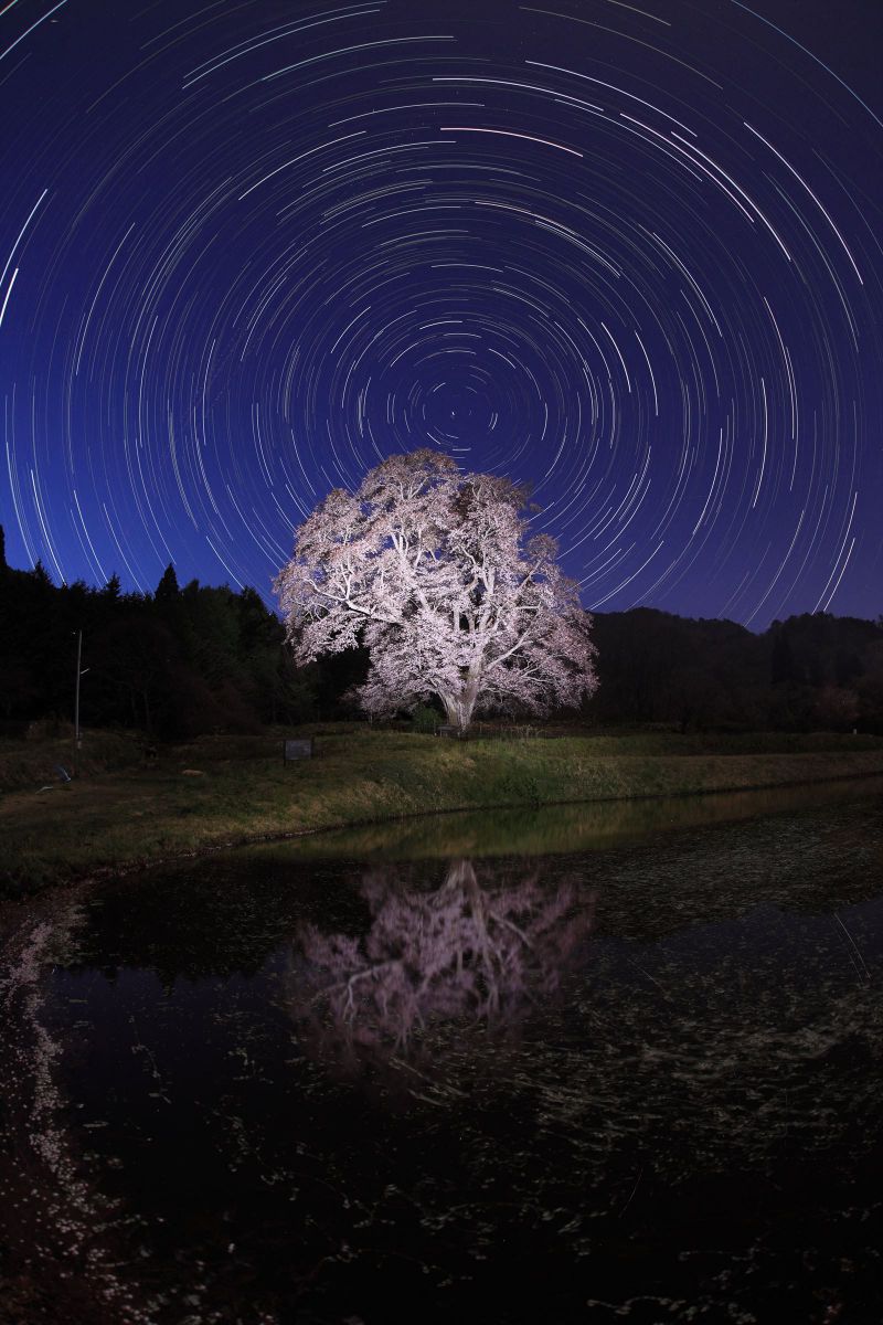 千鳥別尺2024 | GANREF