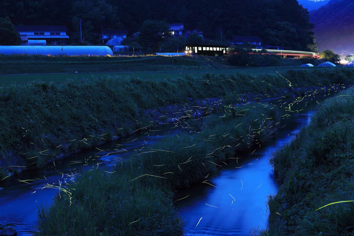 蛍鉄道2023-6 | GANREF