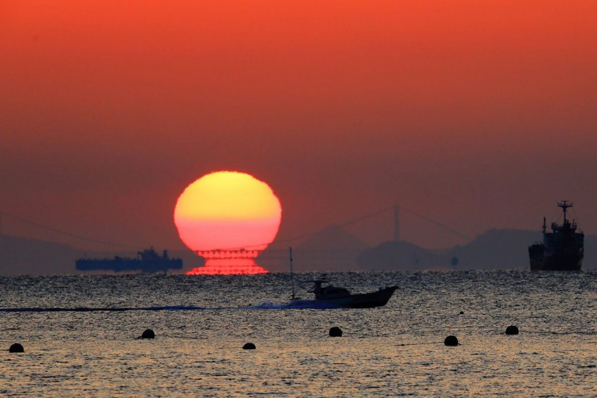 瀬戸の達磨朝日2025-1 | GANREF