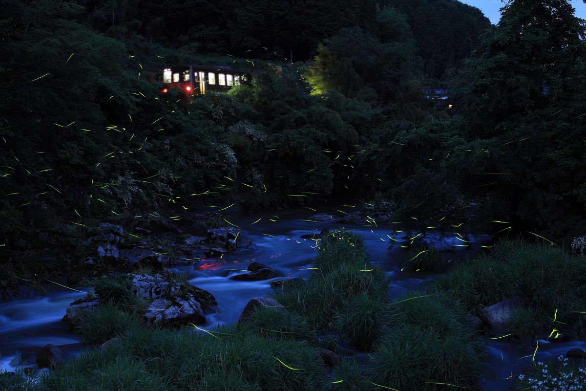 蛍鉄道2025-8 | GANREF