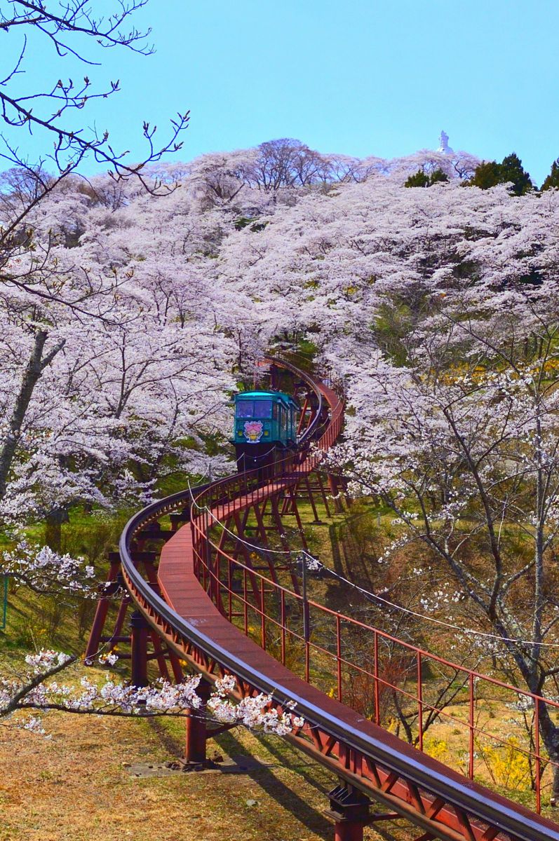 Sakura Tunnel | GANREF