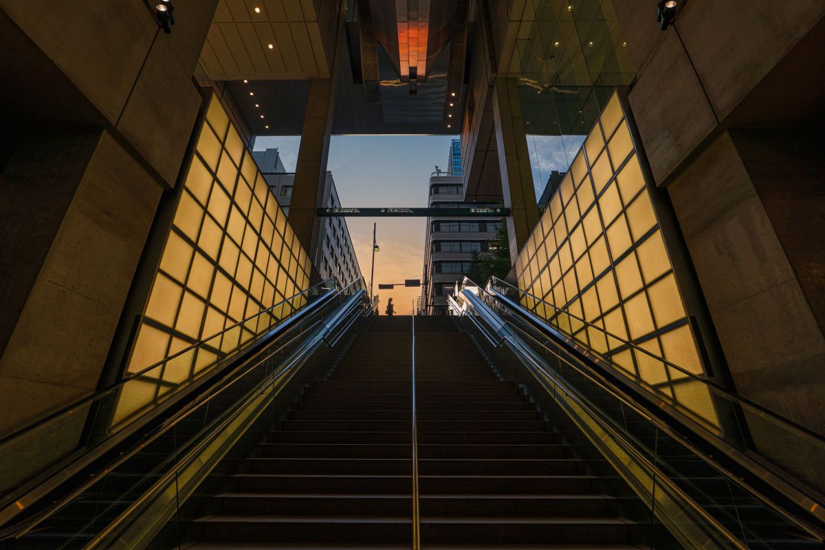 Dragon's wings | GANREF