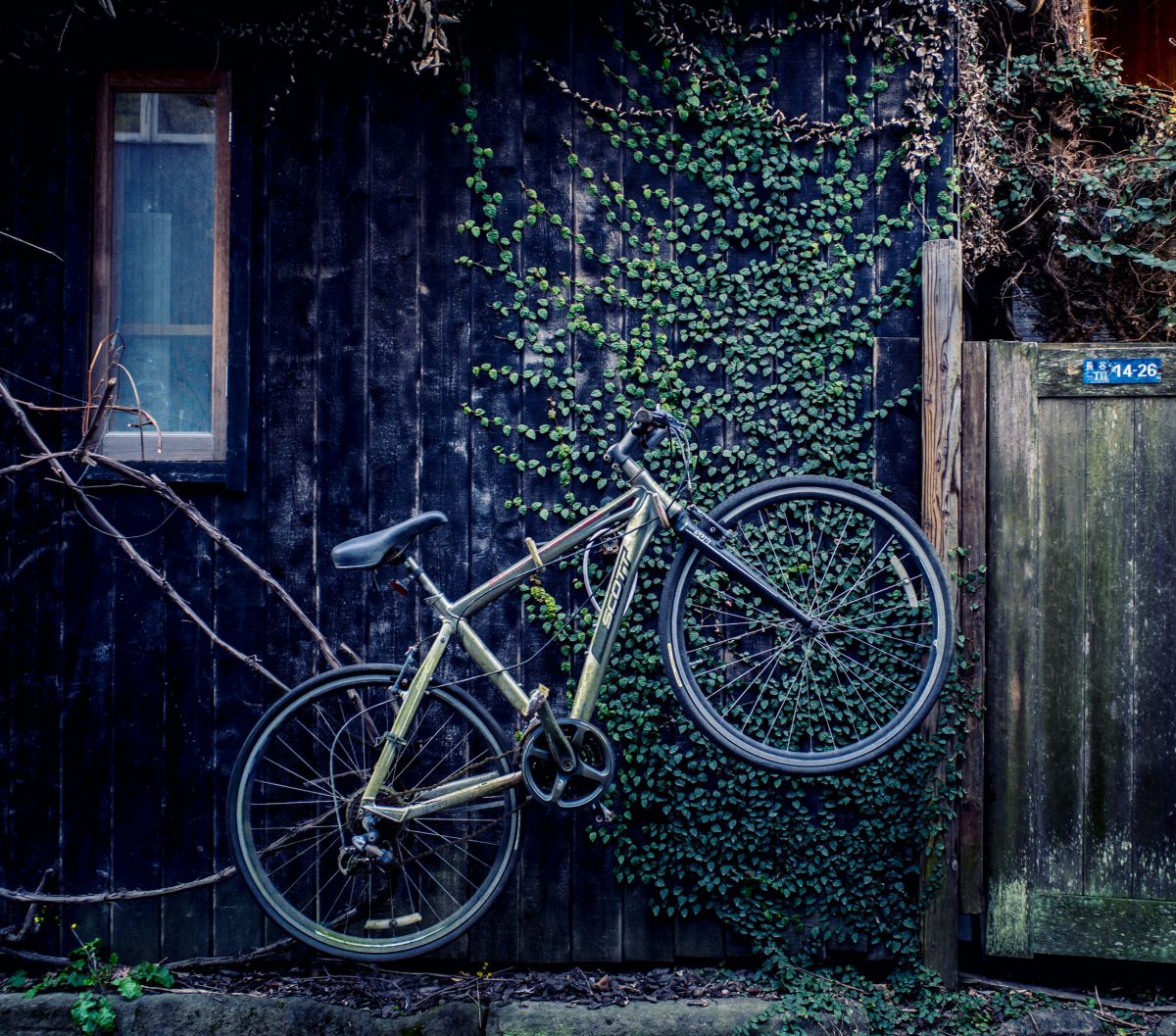 Lonely Bike | GANREF
