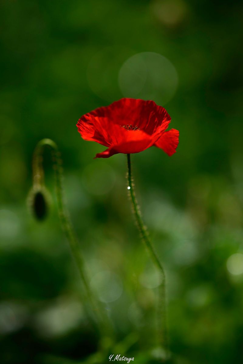 IMG_3401.jpeg | GANREF