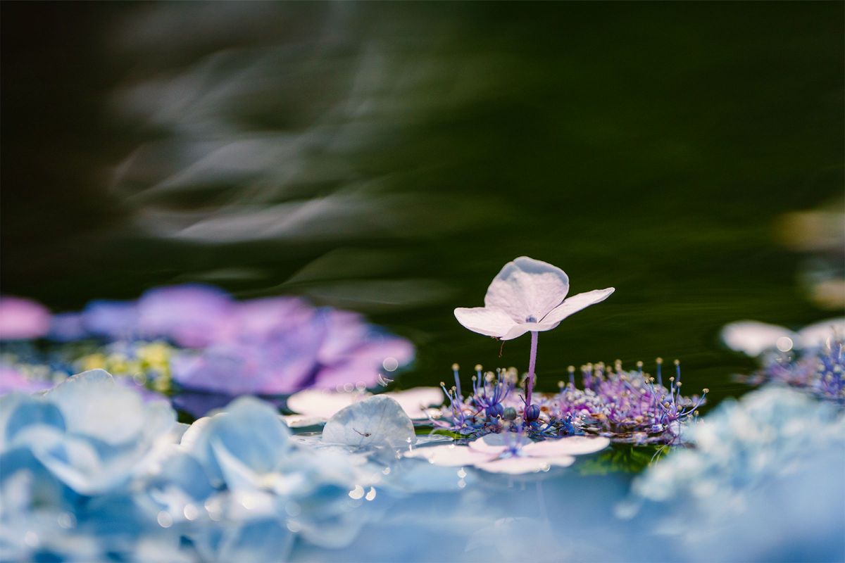 Hello again | GANREF