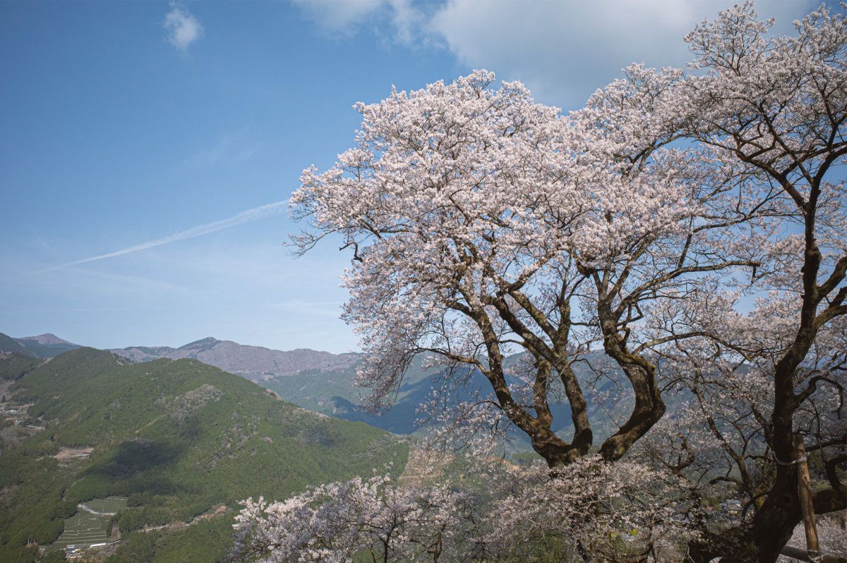 500年の時を経て | GANREF