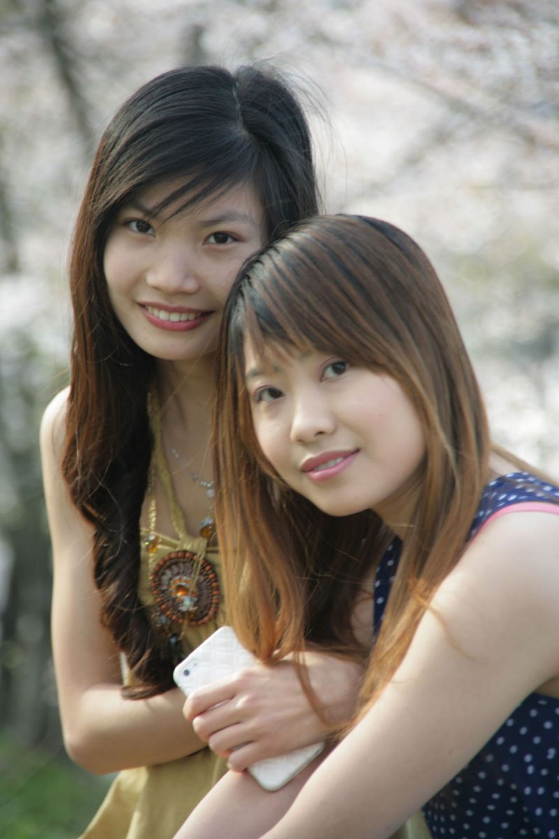 きっかけ(二) | GANREF